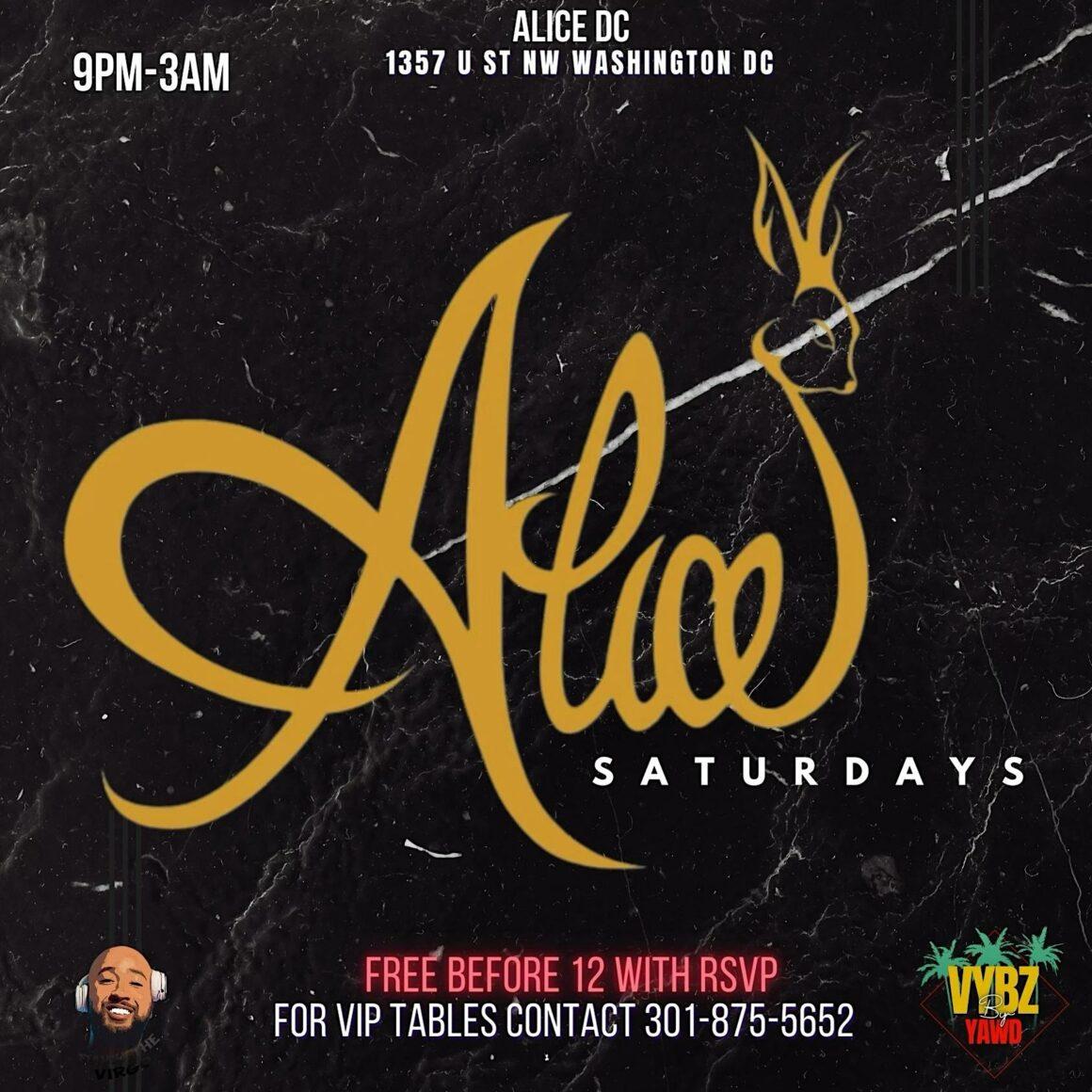 Alice Saturdays - MVEMNT